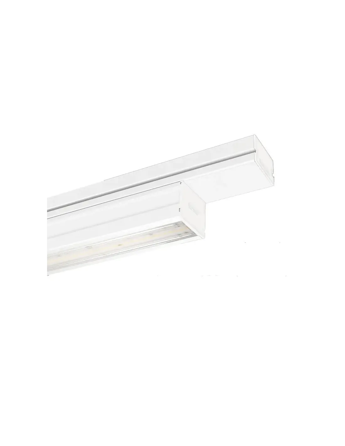 Disano | Buy the best products online | Electroclick