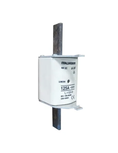 Fusible à couteau standard Italweber NH 2C courbe gG 125A 500V 1520125 ...