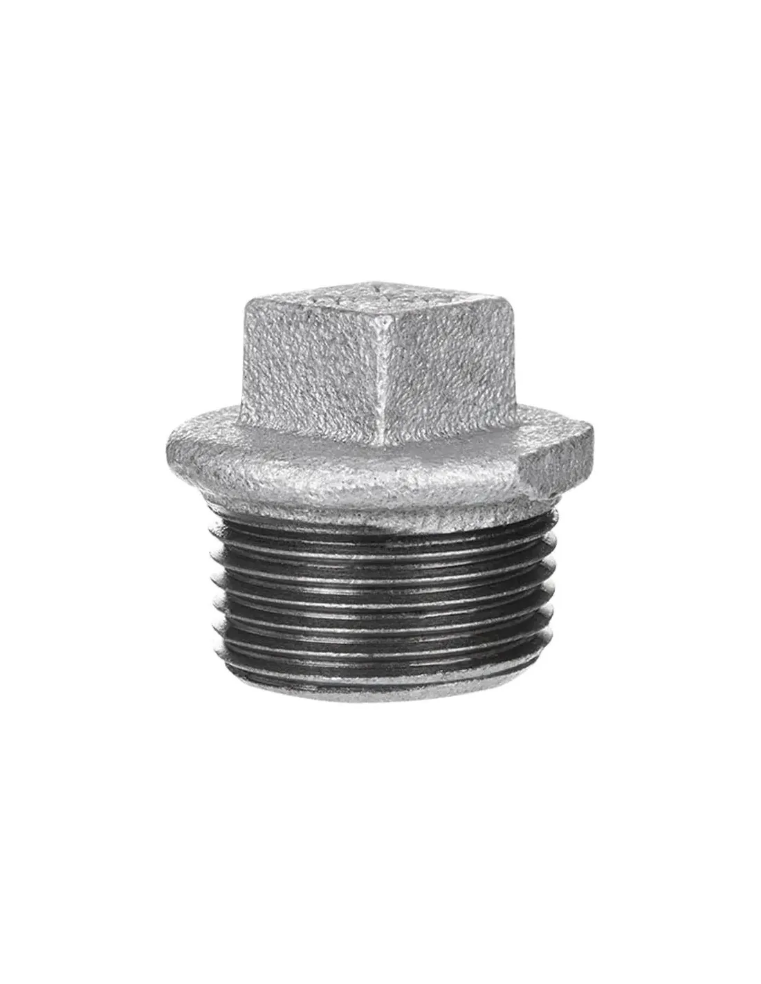 Tappo filettato in Ghisa Gebo con Bordo per tubi M 3/4 290-5G ...